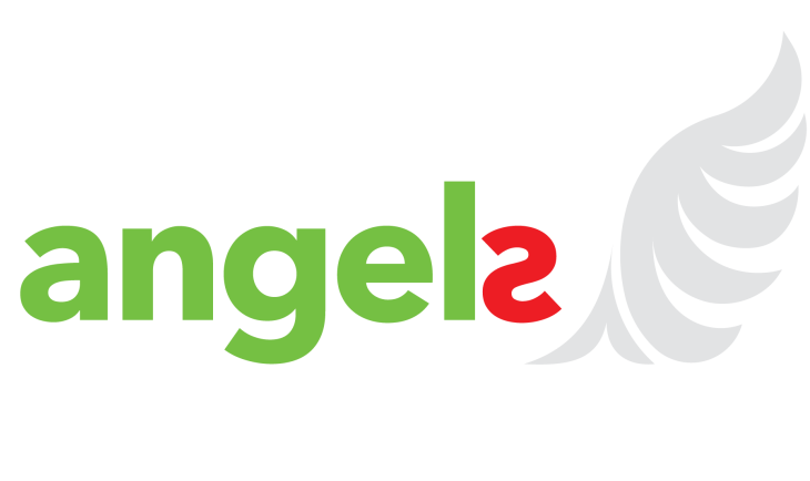 Angels Regions | Angels Initiative